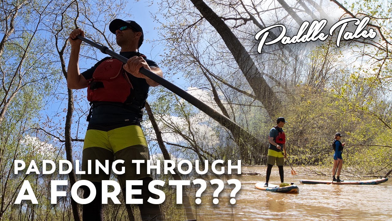 Stand Up PaddlingThrough a Forest?? | A Paddle Tales Adventure - YouTube