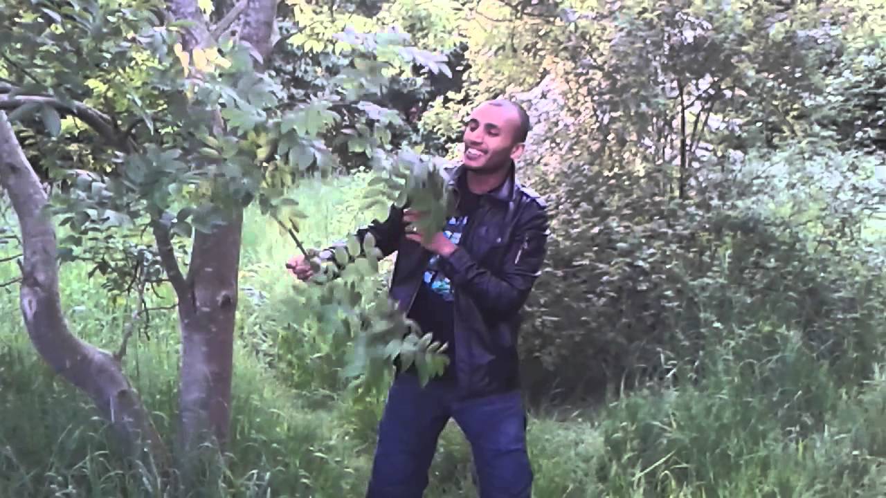 Take me with you - Ayoob Tarish - YouTube