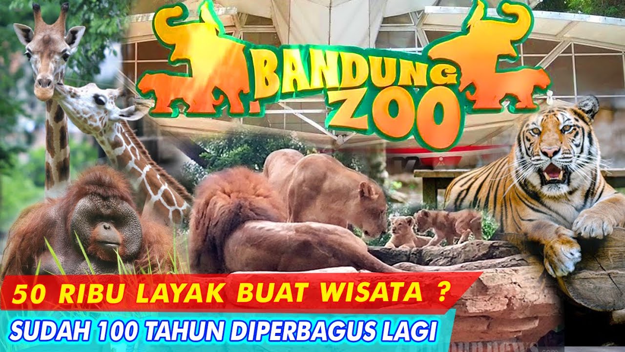 KEBUN BINATANG BANDUNG ZOO | BANDUNG ZOOLOGICAL GARDEN TERBARU 2024 ...
