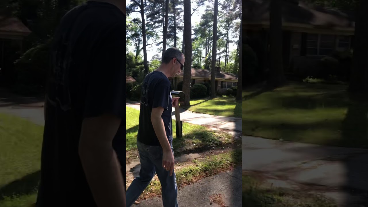 What’s the difference between a skip and a gallop? - YouTube