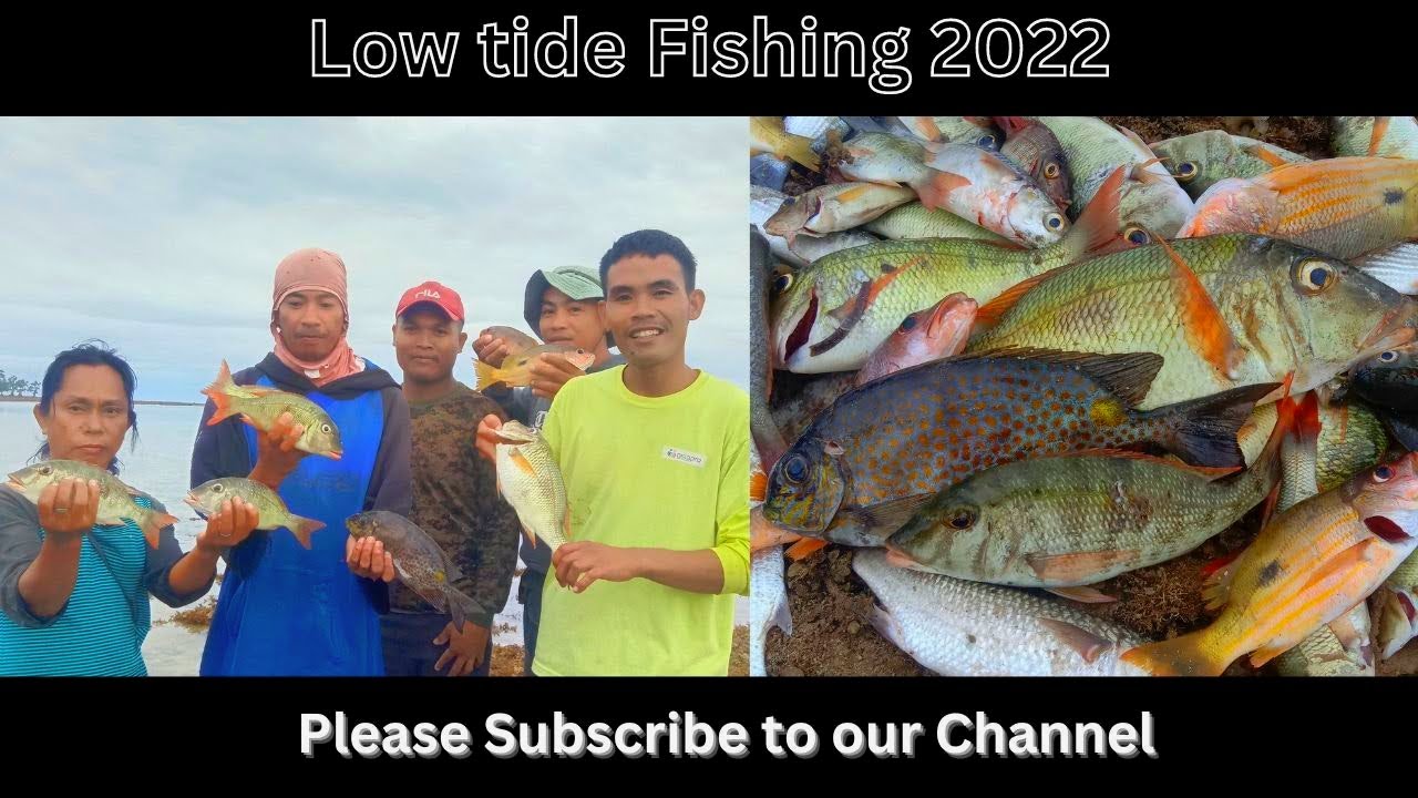 Low Tide Fishing 2022 | Advance Happy New Year! - YouTube