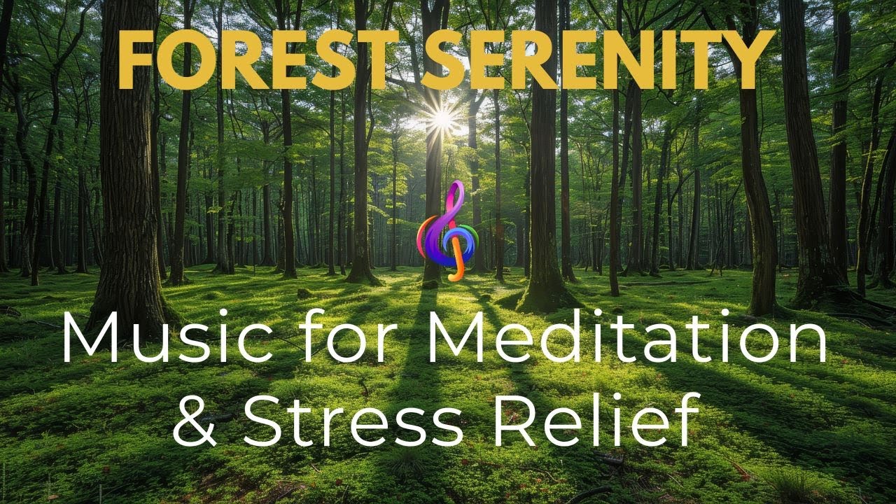 Forest Serenity: Ambient Music for Meditation, Stress Relief, Sleep ...