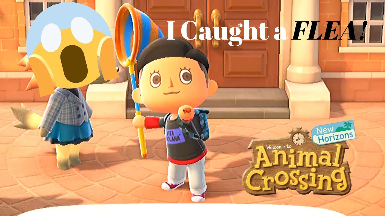 I Caught a FLEA! Animal Crossing New Horizons - YouTube