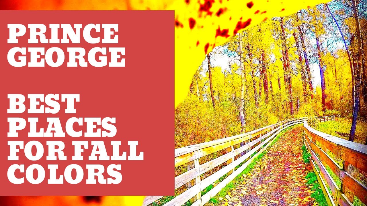 Hell yeah! Prince George Fall is truly a magical time of year to get ...