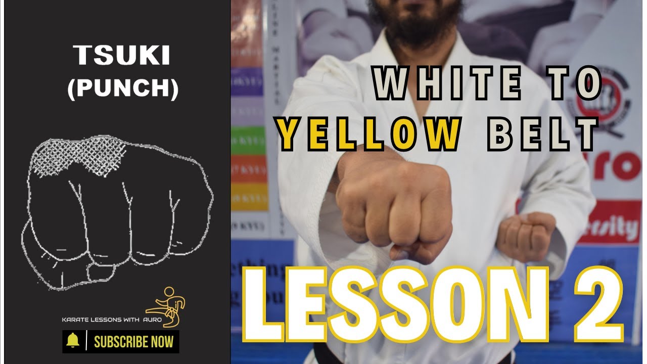 White to Yellow Belt Lesson 2: Basic Karate Punches & Nukite - Master ...