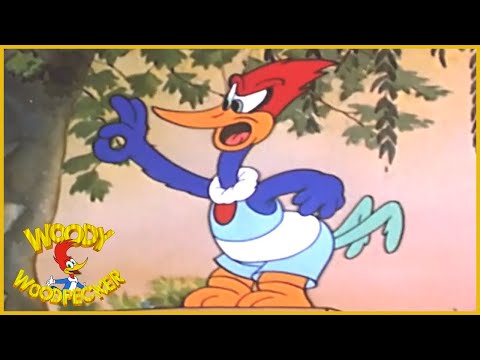 Woody Woodpecker | Pantry Panic | Full Episodes