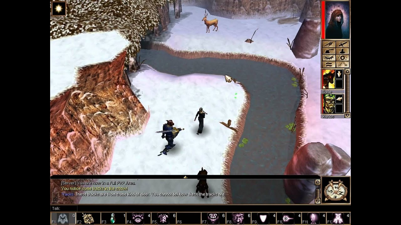 Neverwinter Nights SoU Playthrough Part 11: The Shadow Hart - YouTube