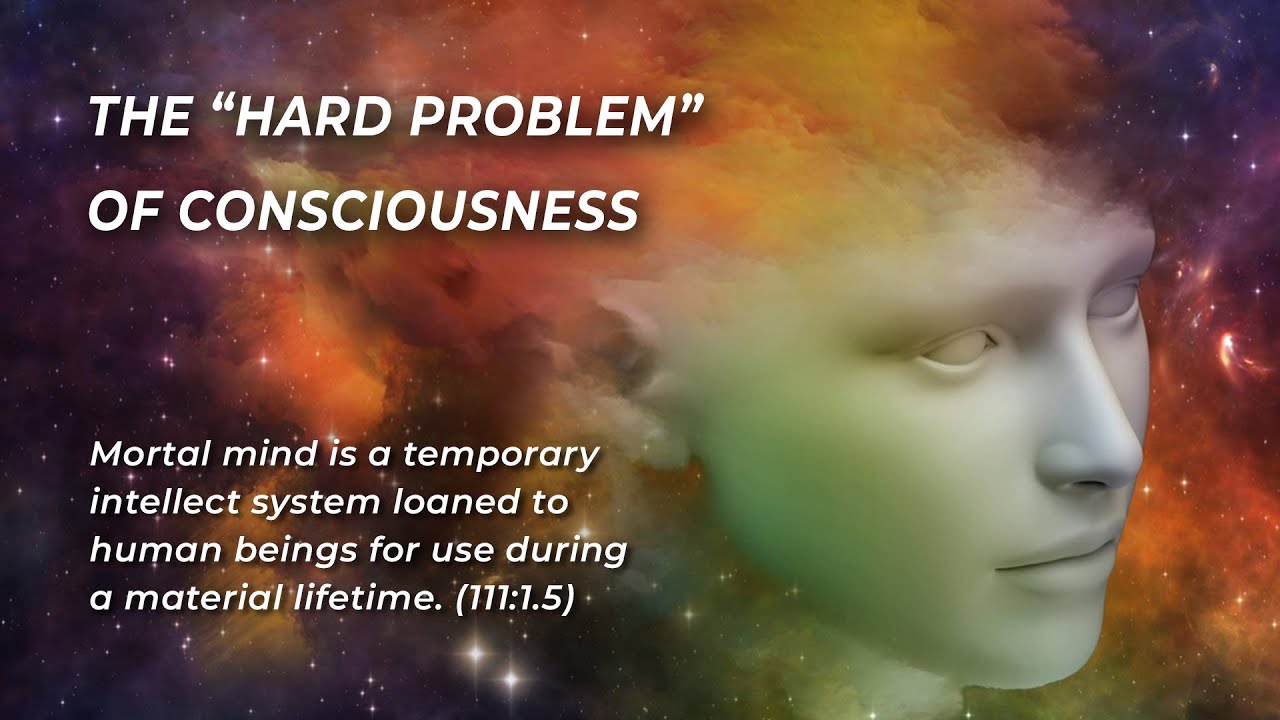 STUDY GROUP - Consciousness "The Hard Problem" - YouTube
