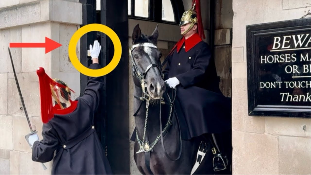 "Emergency Button Smashed: Everything Was Going Smoothly Until This ...