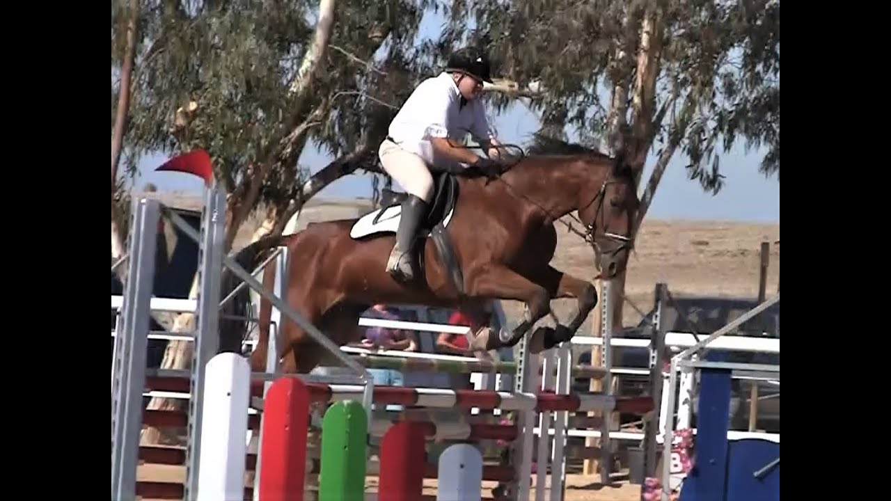 Gill - horse riding 16.October 2010 till 7.April 2015 (latest to ...