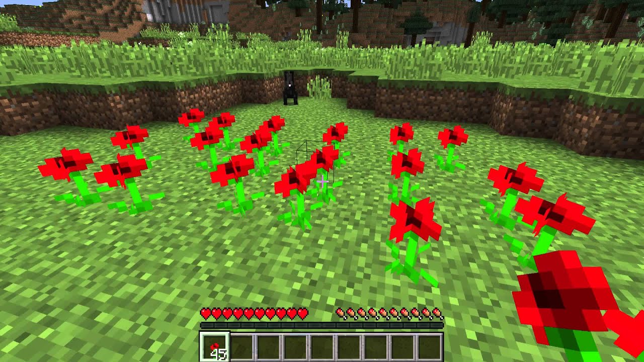 What is a Poppy - Minecraft Flowers - YouTube