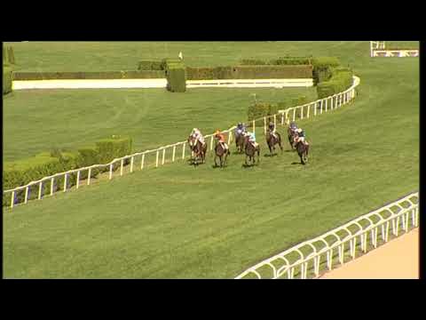 28 settembre 2024 - 3a corsa: Premio JOSEF MOUNTAIN RESORT - YouTube