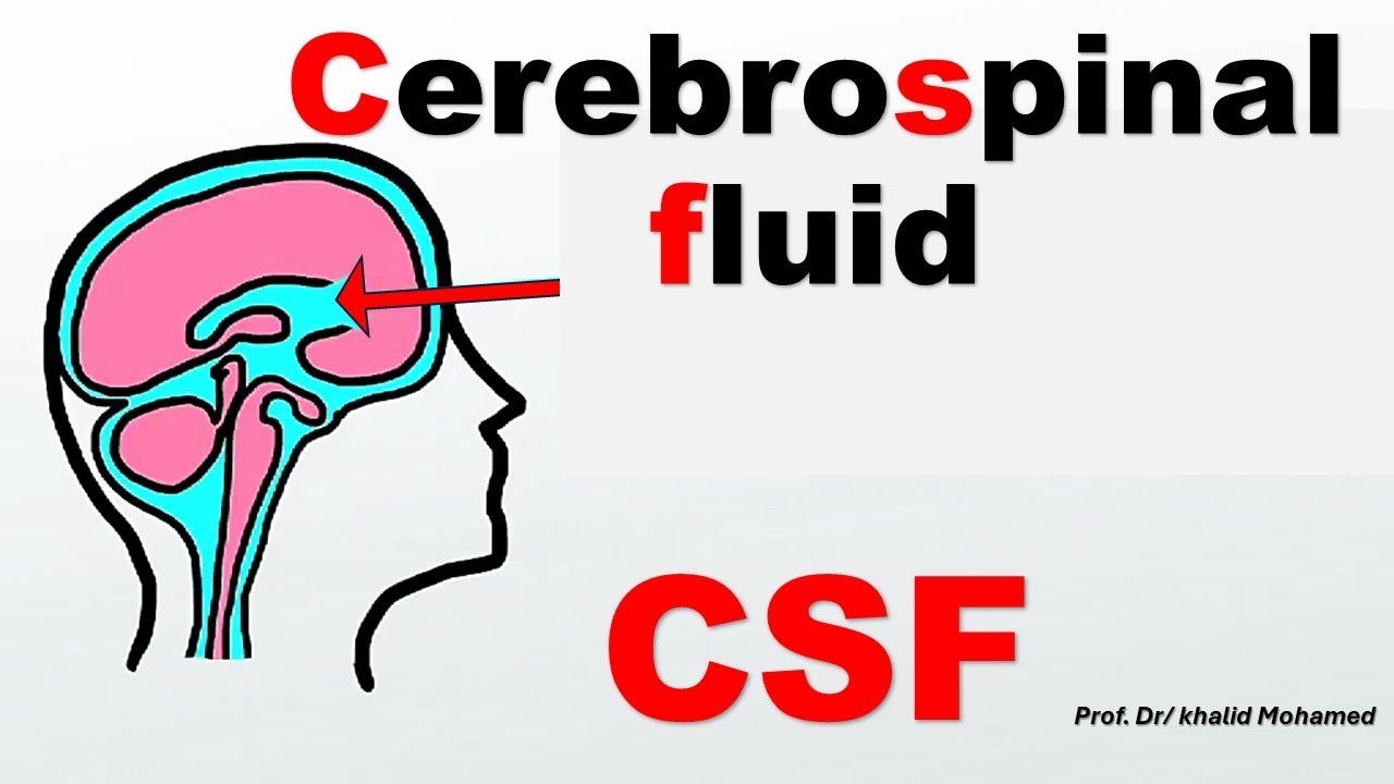 CSF (part 2) Interpretation of cell count - YouTube