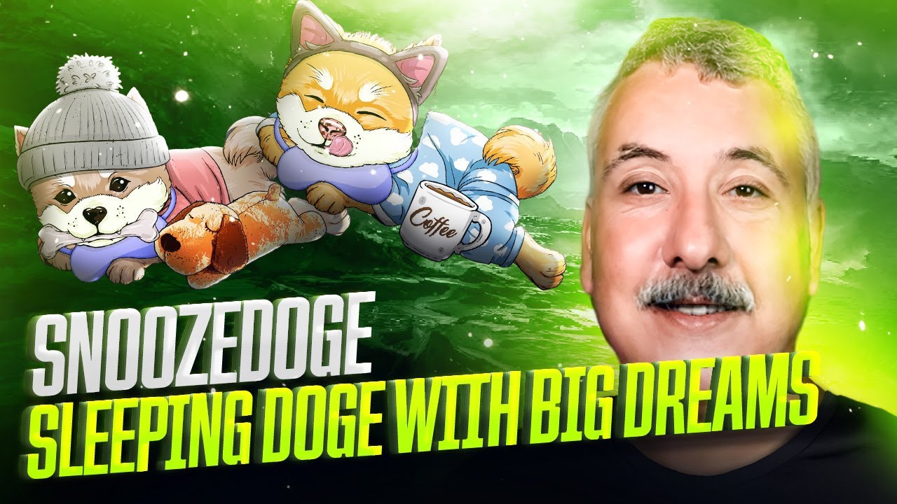 SnoozeDoge Zzz.. sleeping doge with big dreams© - YouTube