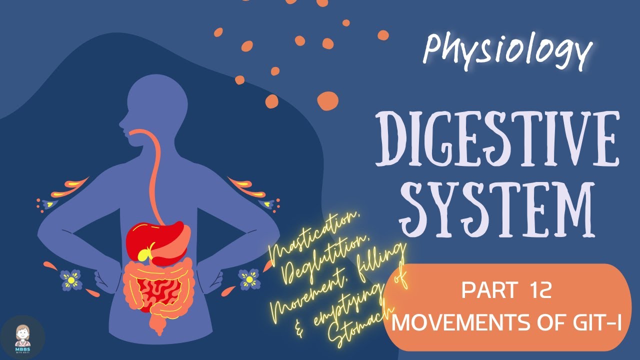 DIGESTIVE SYSTEM | MOVEMENTS OF GIT - I | PHYSIOLOGY | MBBS 1st Year ...