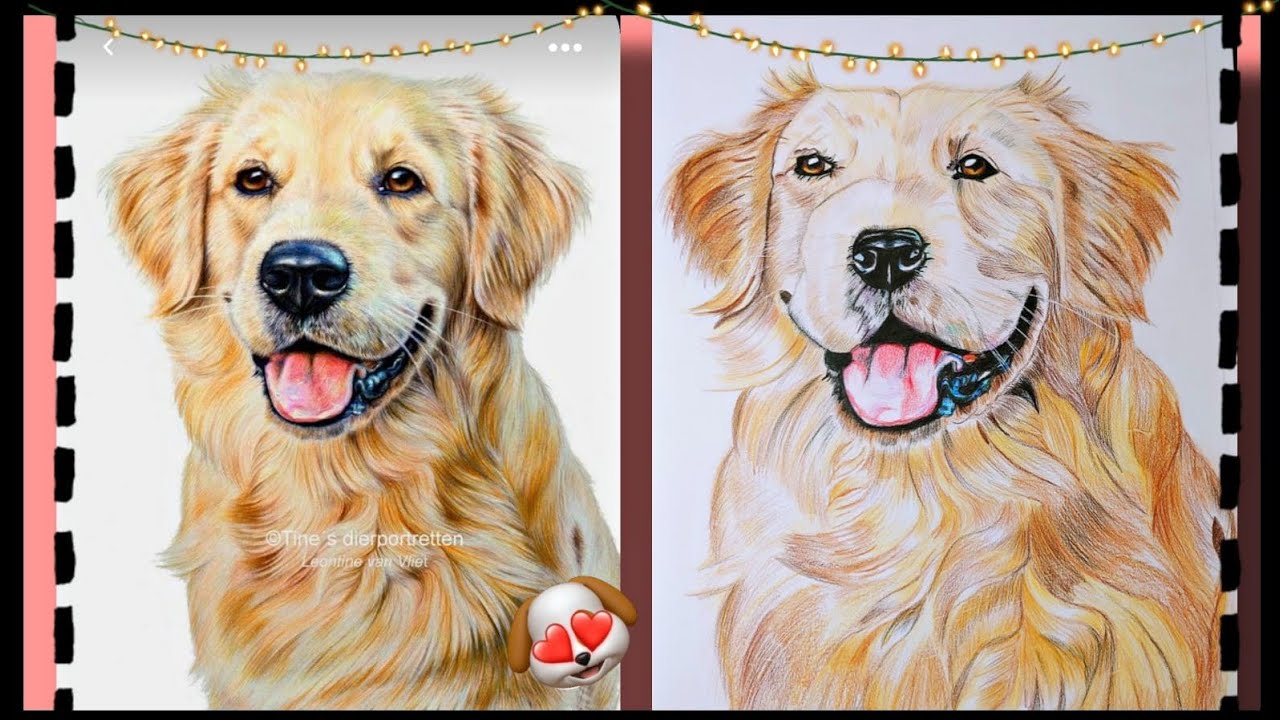 How To Draw Golden Retriever 😍🔥 - YouTube