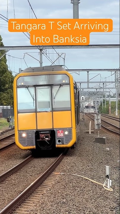 Tangara T Set Arriving Into Banksia #shorts #foryou #subscribe #trains #trending #viral #travel ...
