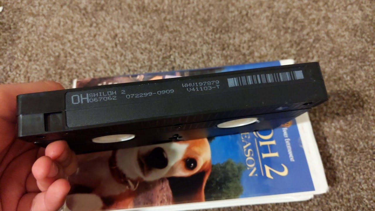 My Warner Bros Vhs Collection - YouTube