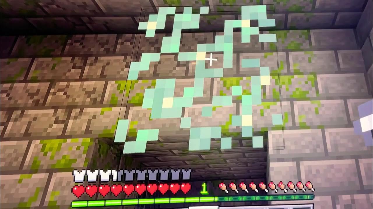 Guys I Think I Found the rarest block in Minecraft - YouTube