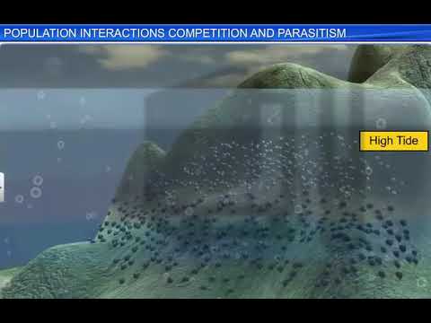 CBSE Class 12 Biology, Organisms And Populations–8, Population ...