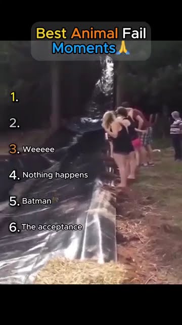 Best Animal Fail Moments (IMPOSSIBLE NOT TO LAUGH😂) - YouTube