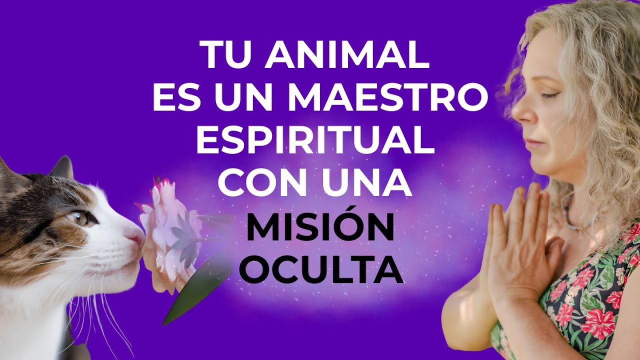 Tu animal es un maestro espiritual con una misión oculta. Verónica ...