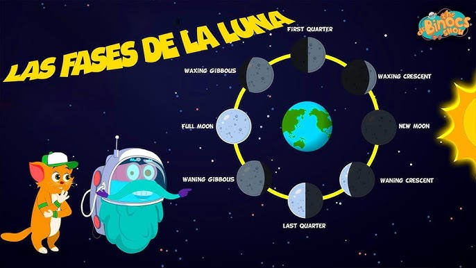 Fases De La Luna En Orden Calculadora De Fase Lunar | Luna Hoy | Luna