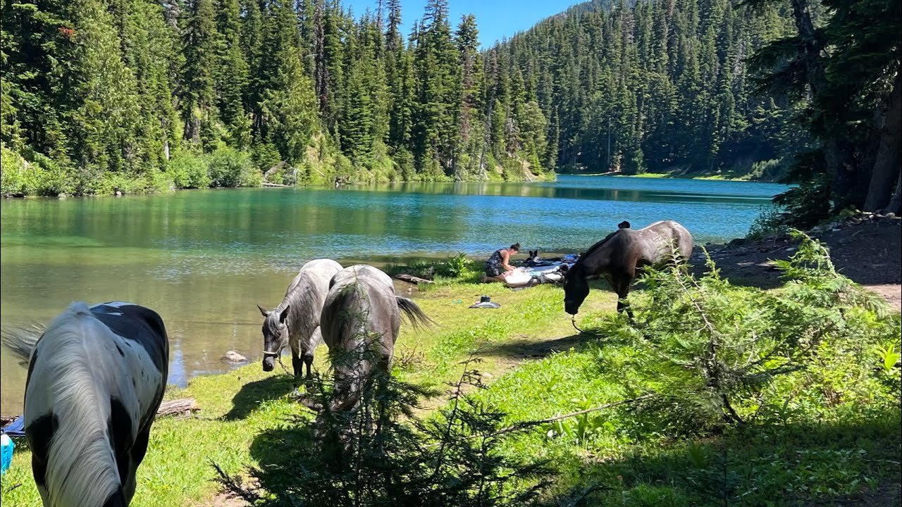 Surprise lake, goat rocks wilderness Washington state - YouTube