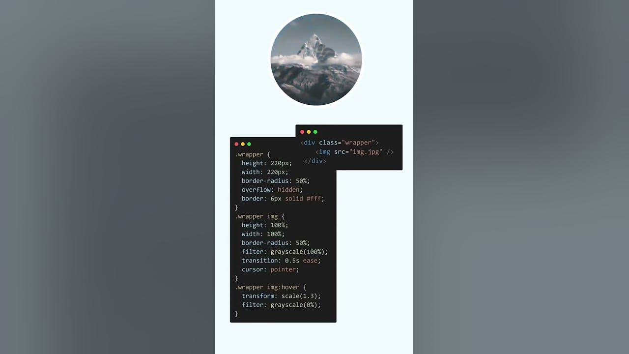 Image Hover Effect Coden Python Webdevelopment Javascript Bts Website حمو بيكا عصام
