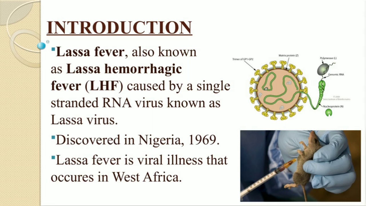LASSA FEVER || SEMINAR TOPIC ( PPT) || SPECIALLY FOR PHARMA STUDENT ( D ...