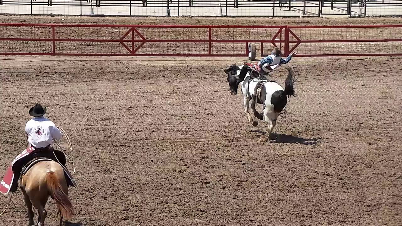 Kelly Timberman - YouTube