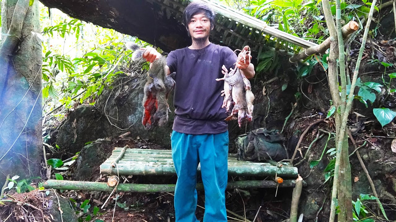 Rainforest Survival: Building a Forest Shelter & Setting Effective ...