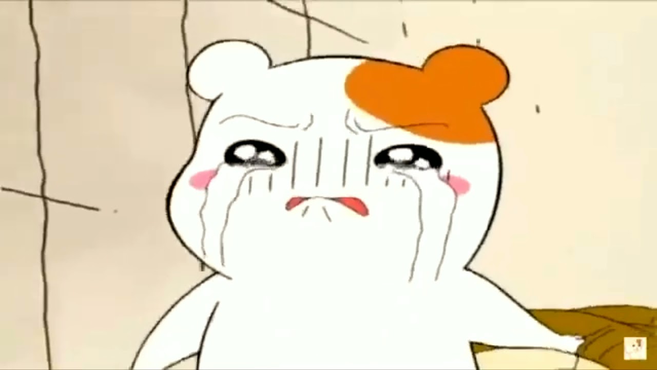 Hámster anime llorando oruchuban ebichu. - YouTube