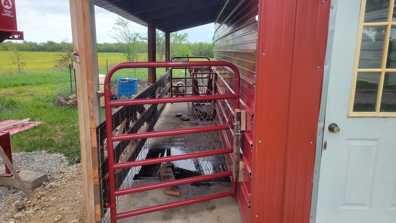 Pig chute update - YouTube