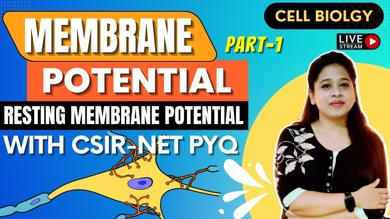 Membrane Potential -I Resting Membrane Potential | Nernst Equation ...