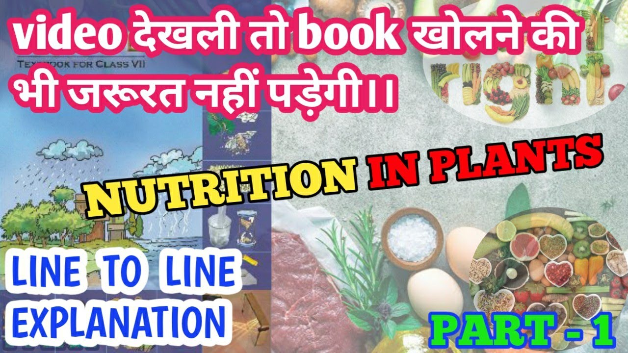 NCERT Class 7th SCIENCE CHAPTER 1 Full Explanation In Hindi YouTube ncert-class-7th-science-chapter-1-full-explanation-in-hindi-youtube