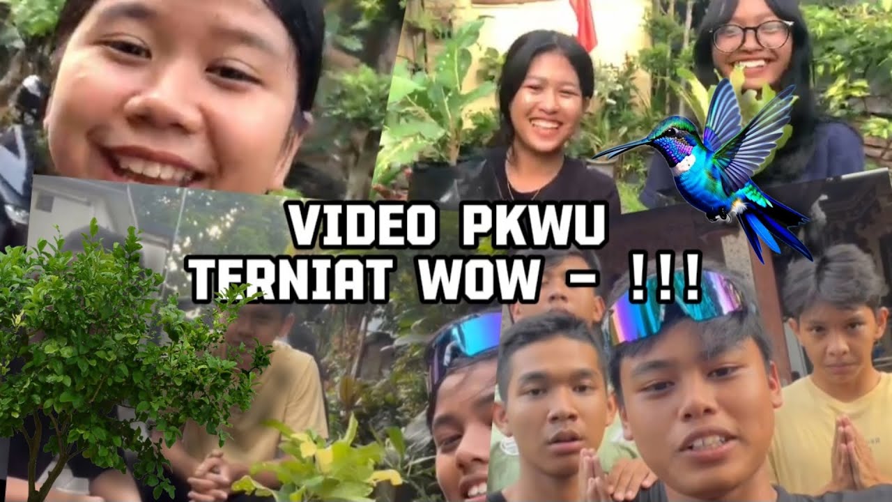 Tutorial stek puring bulan, dijamin cepat tumbuh - !!! - YouTube