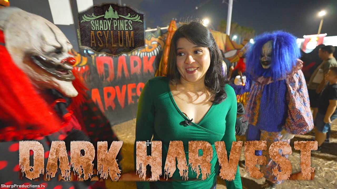Shady Pines Asylum maze at Dark Harvest 2022 - Anaheim, California - YouTube
