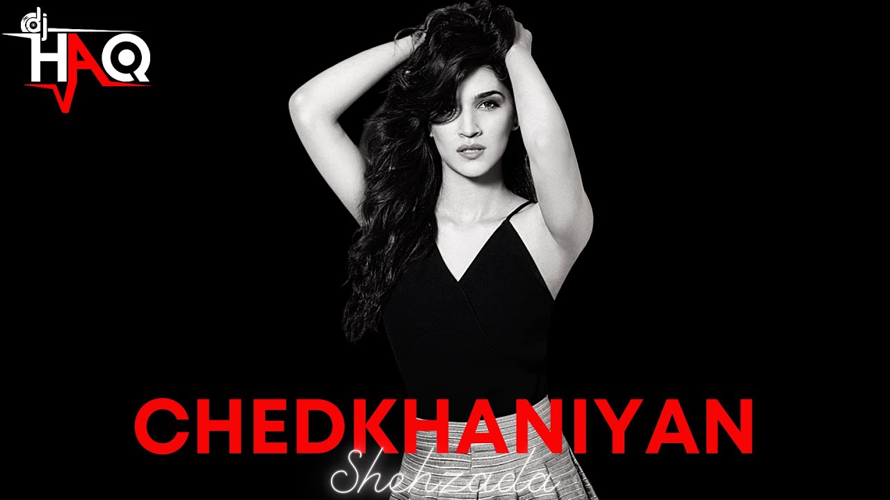 Chedkhaniyan | Shehzada | DJ Haq | Karthik Aaryan | Kriti Sanon ...