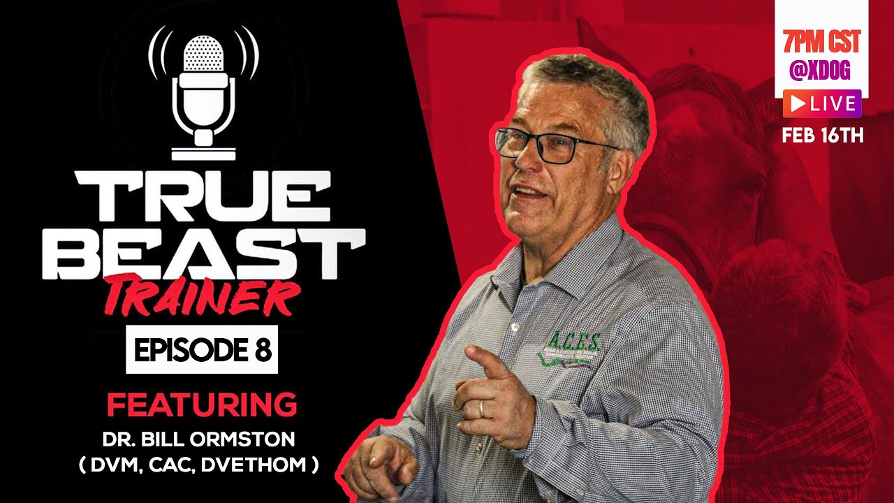 True Beast Trainer : Ep.8 featuring Dr.O - YouTube