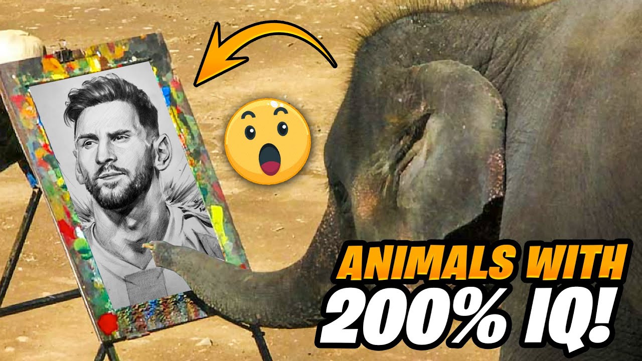 13 Mind Blowing Examples of Animal Intelligence You Need to See! - YouTube