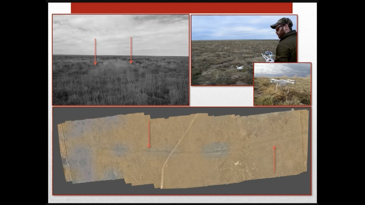 "Through This Tangled Mass": Recordation of Historical Trails in ...