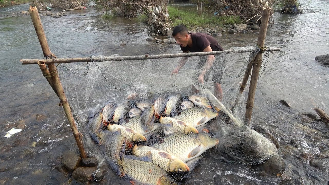 amazing fishing a Fisherman skill catch fish fish catch modern ...