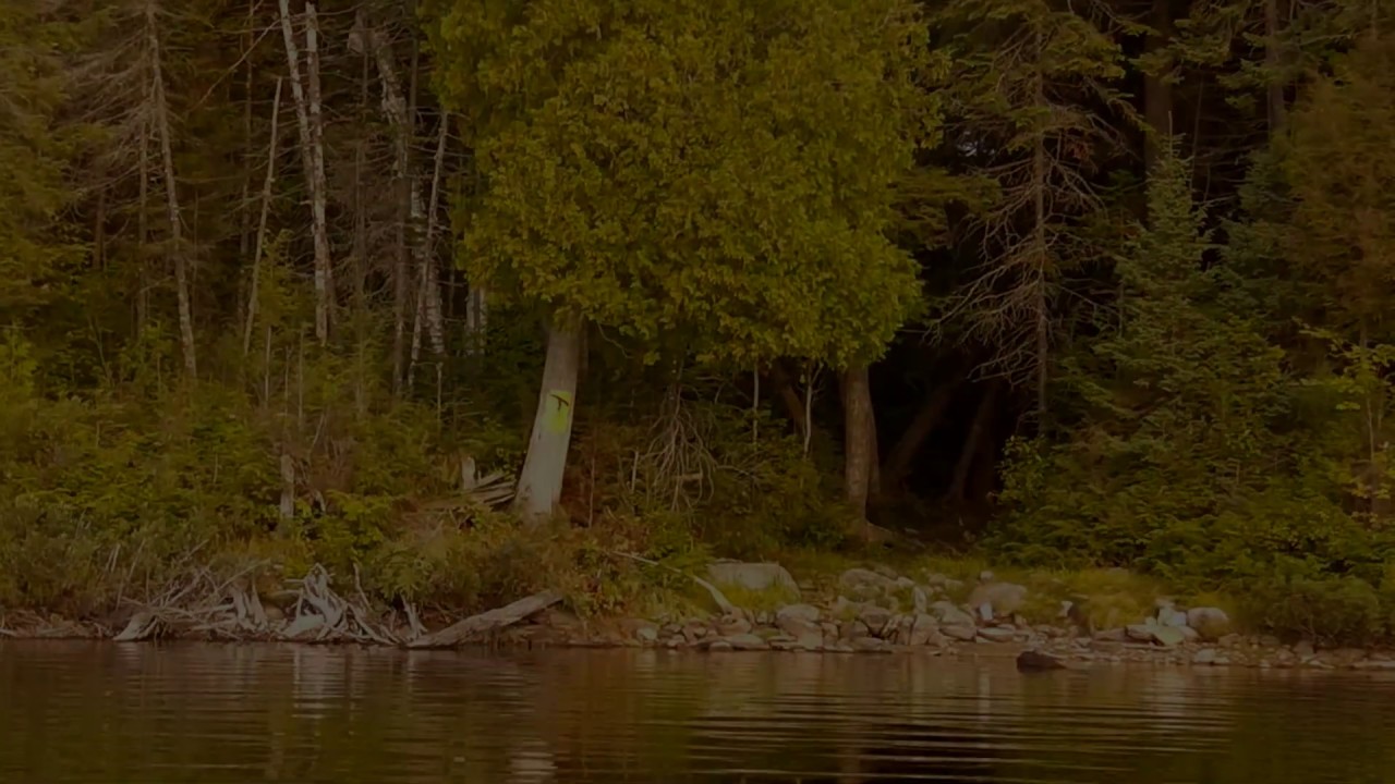 Timberwolf lake camp setup. - YouTube