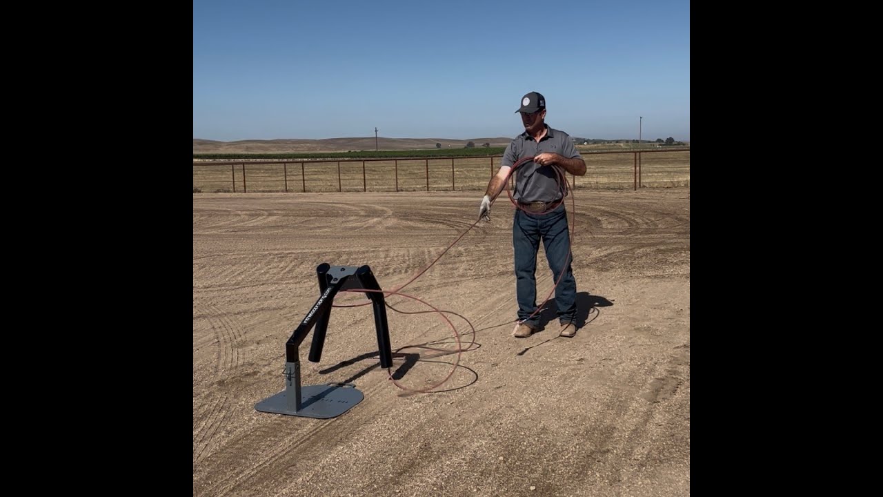 Dugan Kelly, 7-Time NFR Qualifier, Offers a Heeling Masterclass ...
