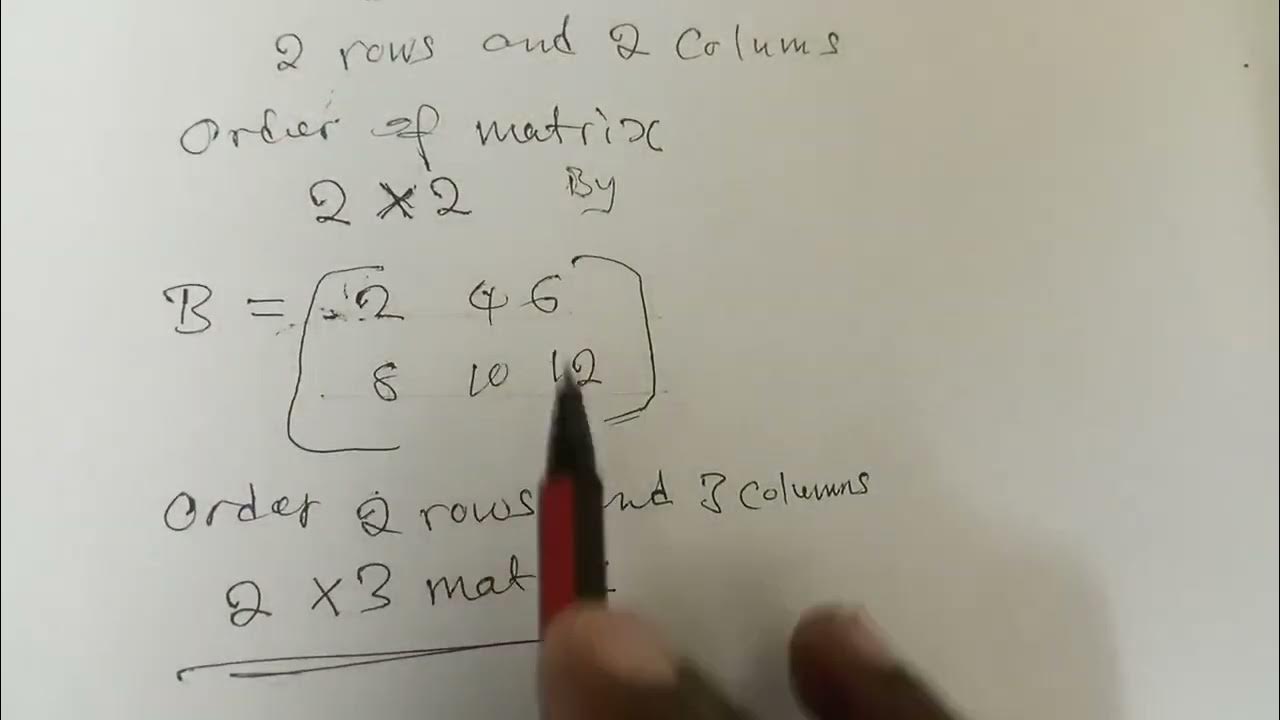 Introduction to Matrices - YouTube