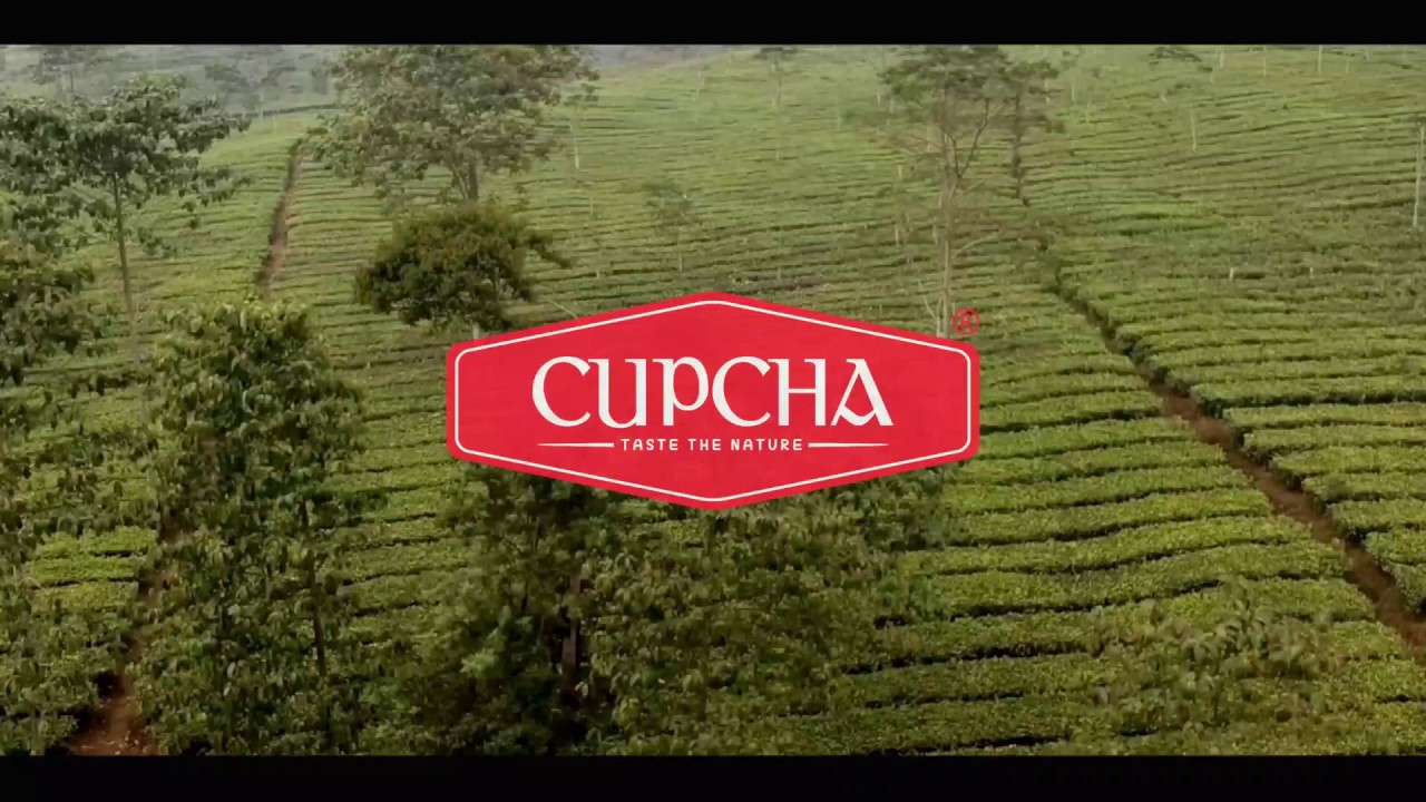 Cupcha Tea - YouTube