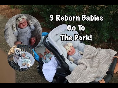3 Reborn Babies Outing Vlog! Photoshoot At The Park! - YouTube