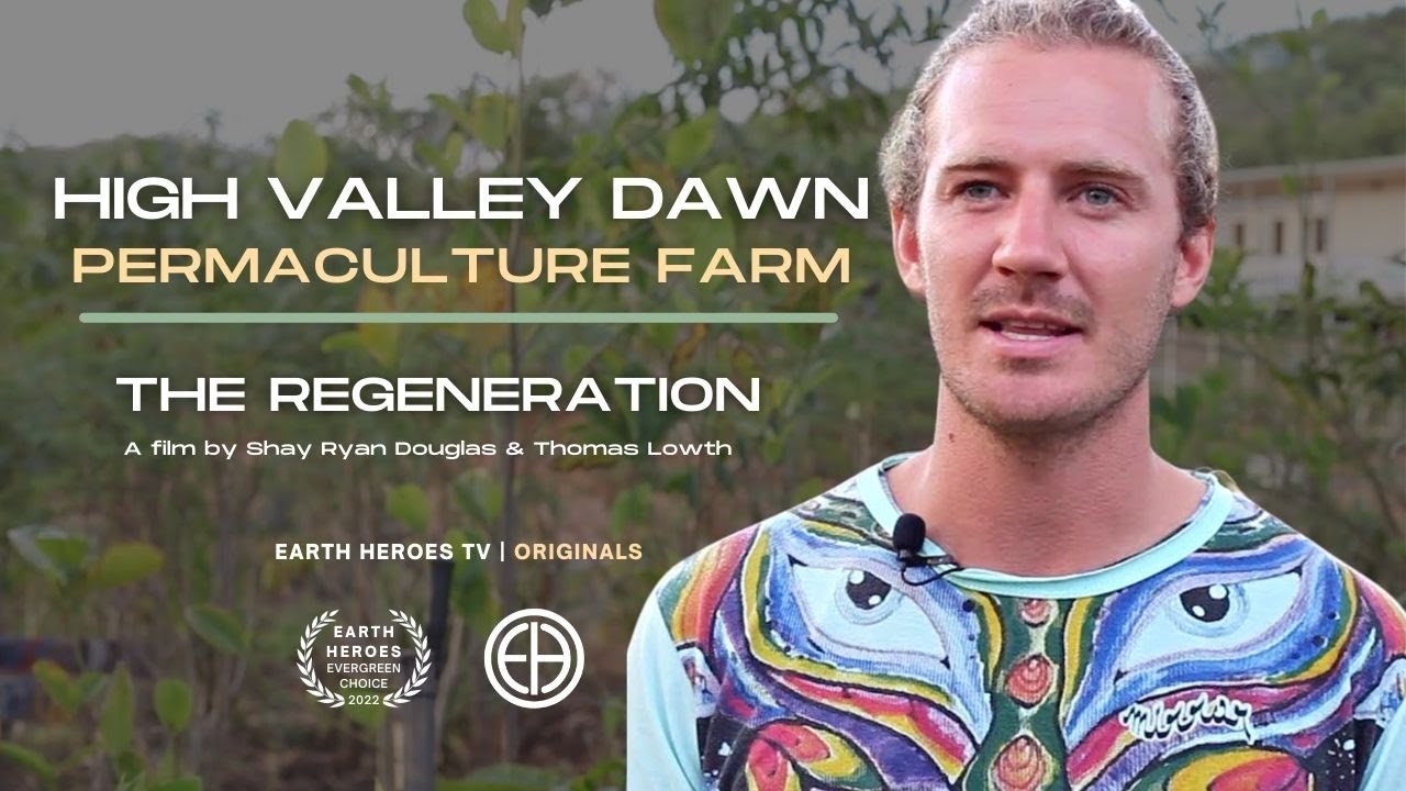 The Regeneration l Documentary // High Valley Dawn Permaculture Farm ...
