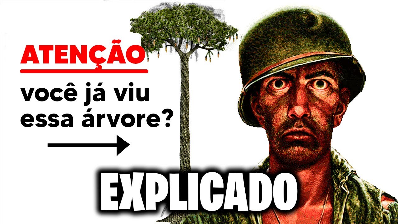 What is the Lepidodendron meme (English subtitles)?🥃 Descubra a emoção ... What is the Lepidodendron meme (English subtitles)?🥃 Descubra a emoção ...